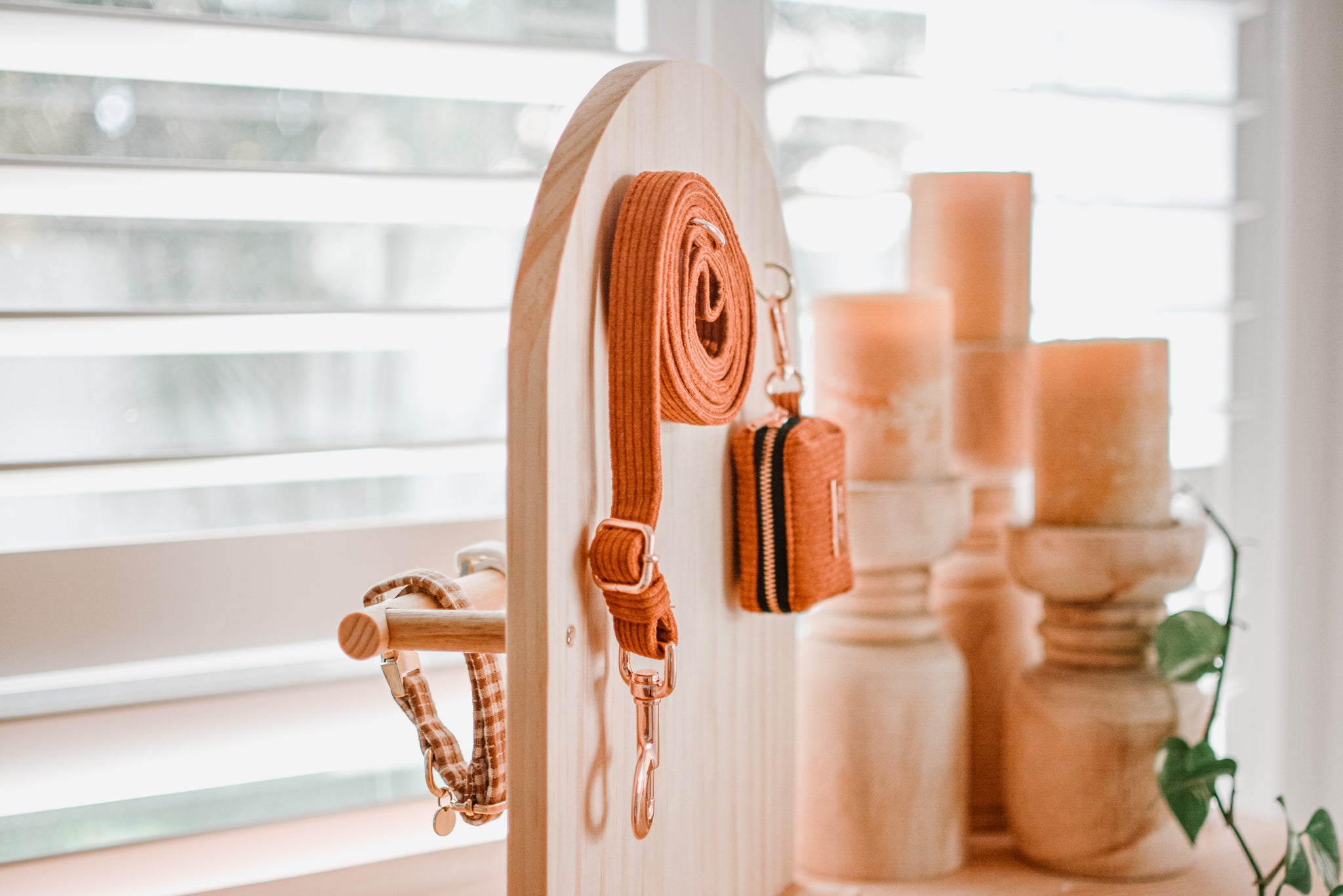 Arched Collar and ID Tag Stand – Timber n Tails