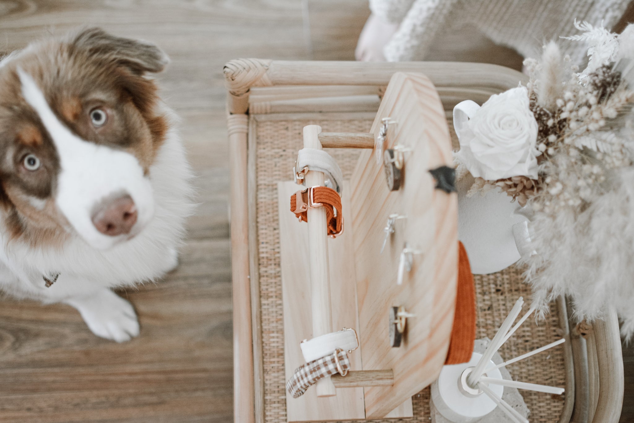 Arched Collar and ID Tag Stand – Timber n Tails